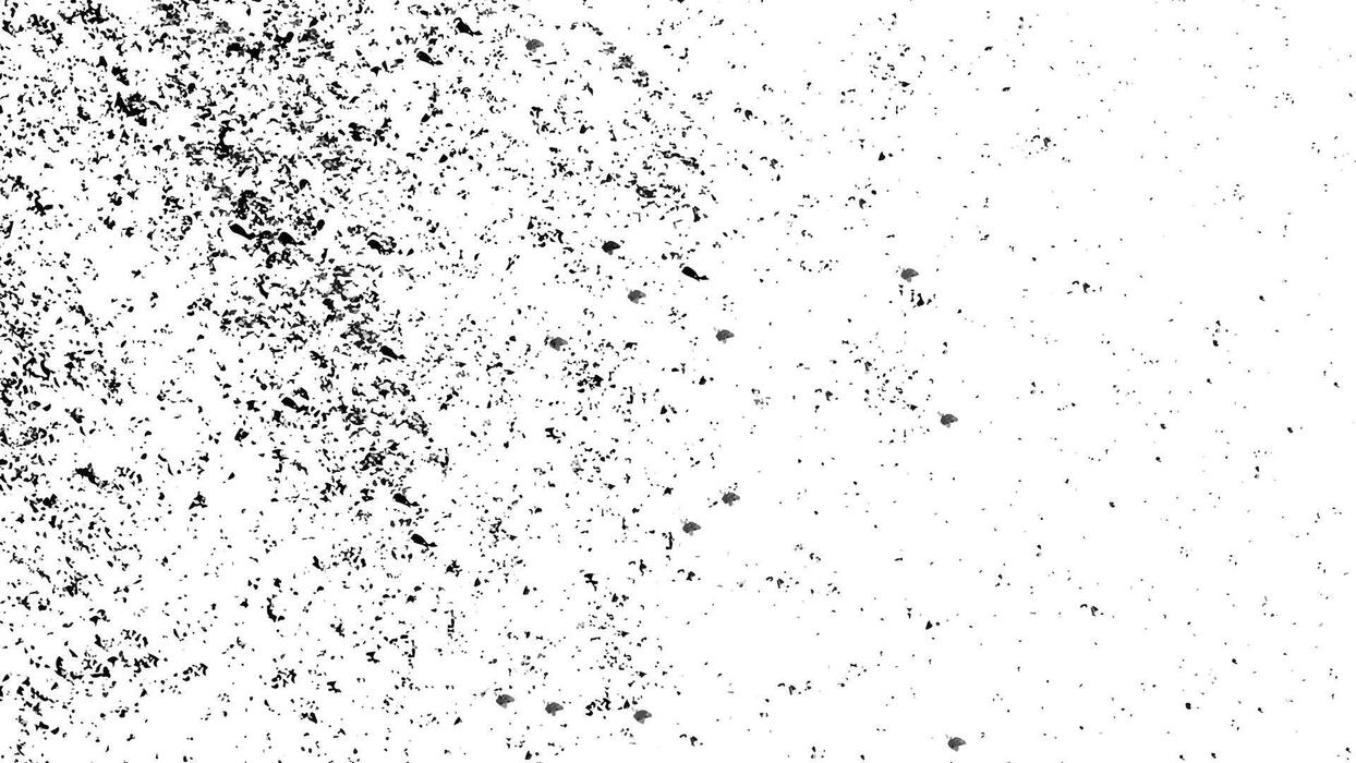 Transparent Texture Vector Art, Icons, and Graphics for Free Download