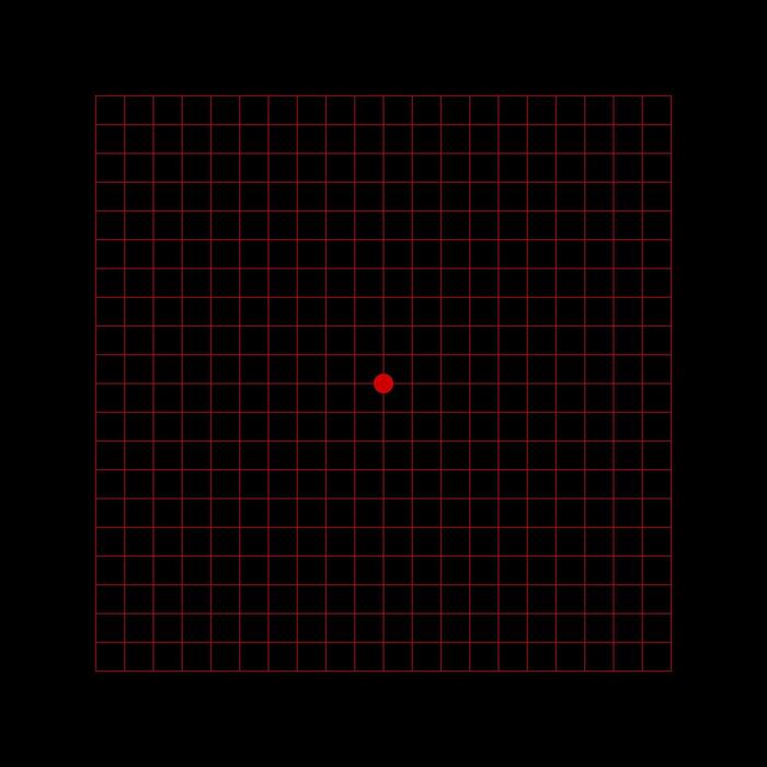 Camera Grid Vector Art, Icons, and Graphics for Free Download