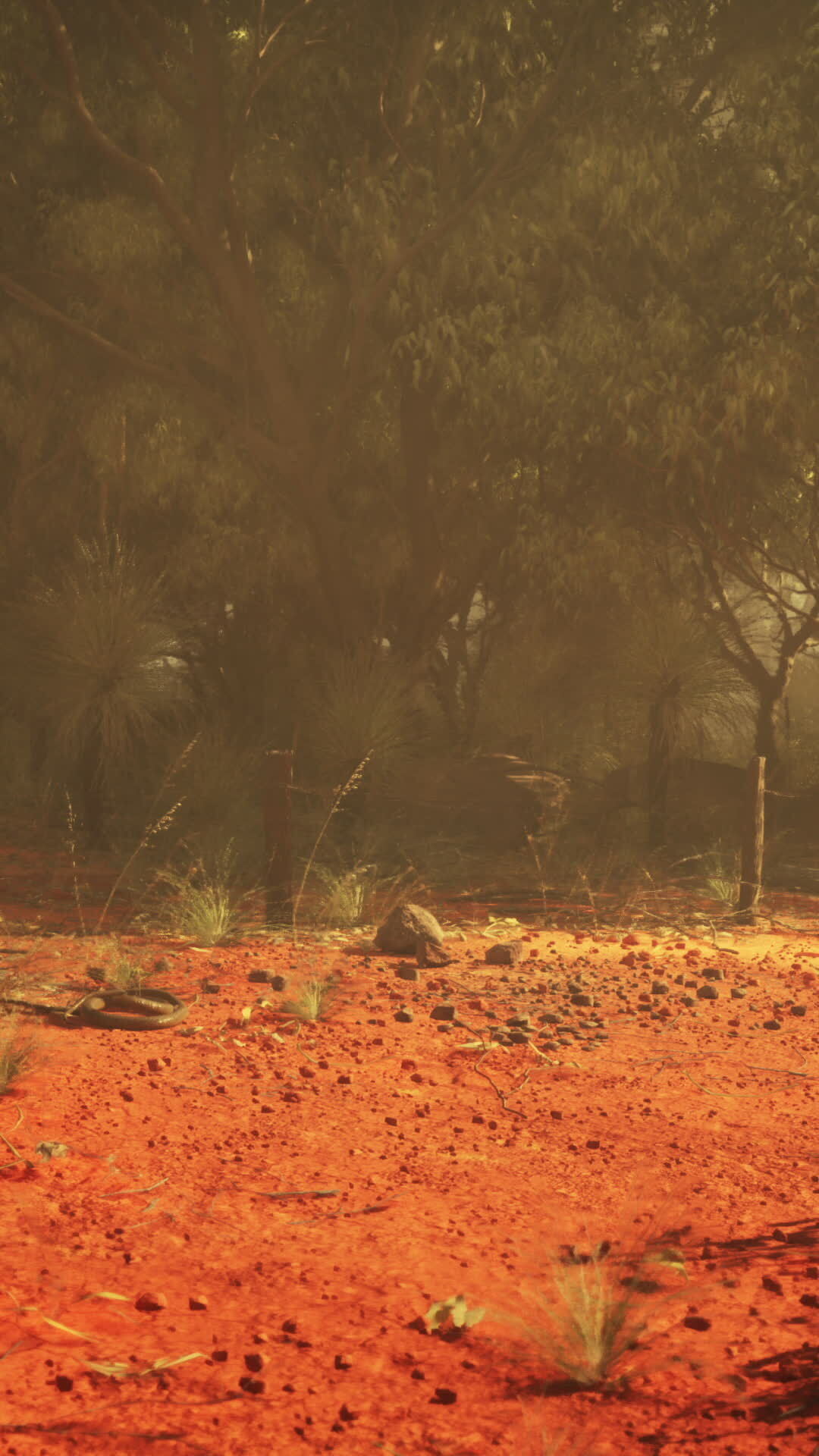 Natures Tapestry, A Primal Canvas Unveiling the Enigmatic Australian ... Natures Tapestry, A Primal Canvas Unveiling the Enigmatic Australian ...