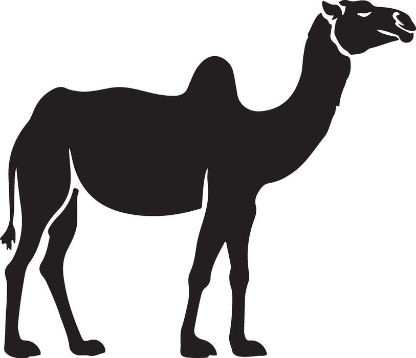 Camel Black And White Vector Art, Icons, and Graphics for Free Download