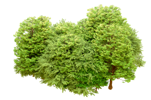 Watercolor Tree Top View Pngs For Free Download