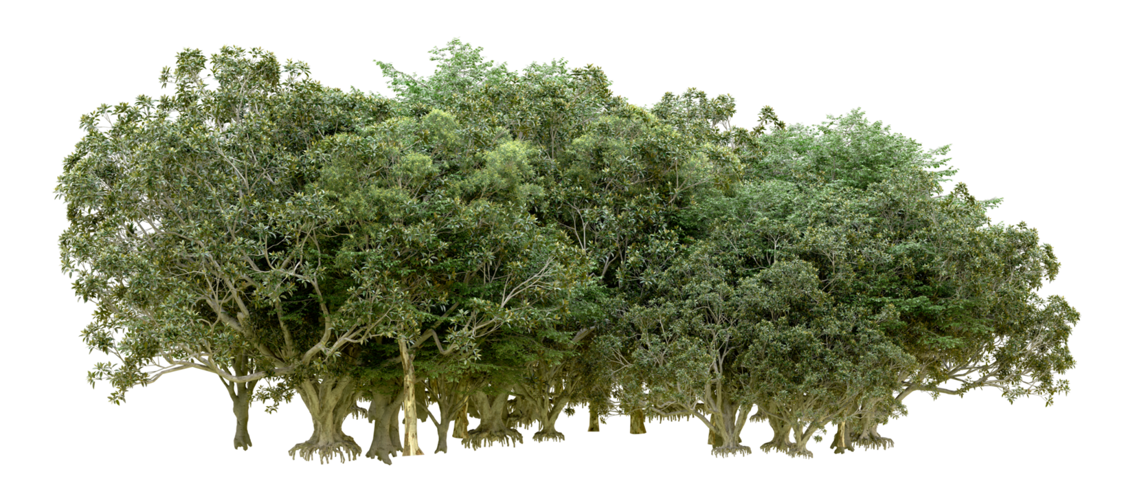 Row Of Trees Pngs For Free Download