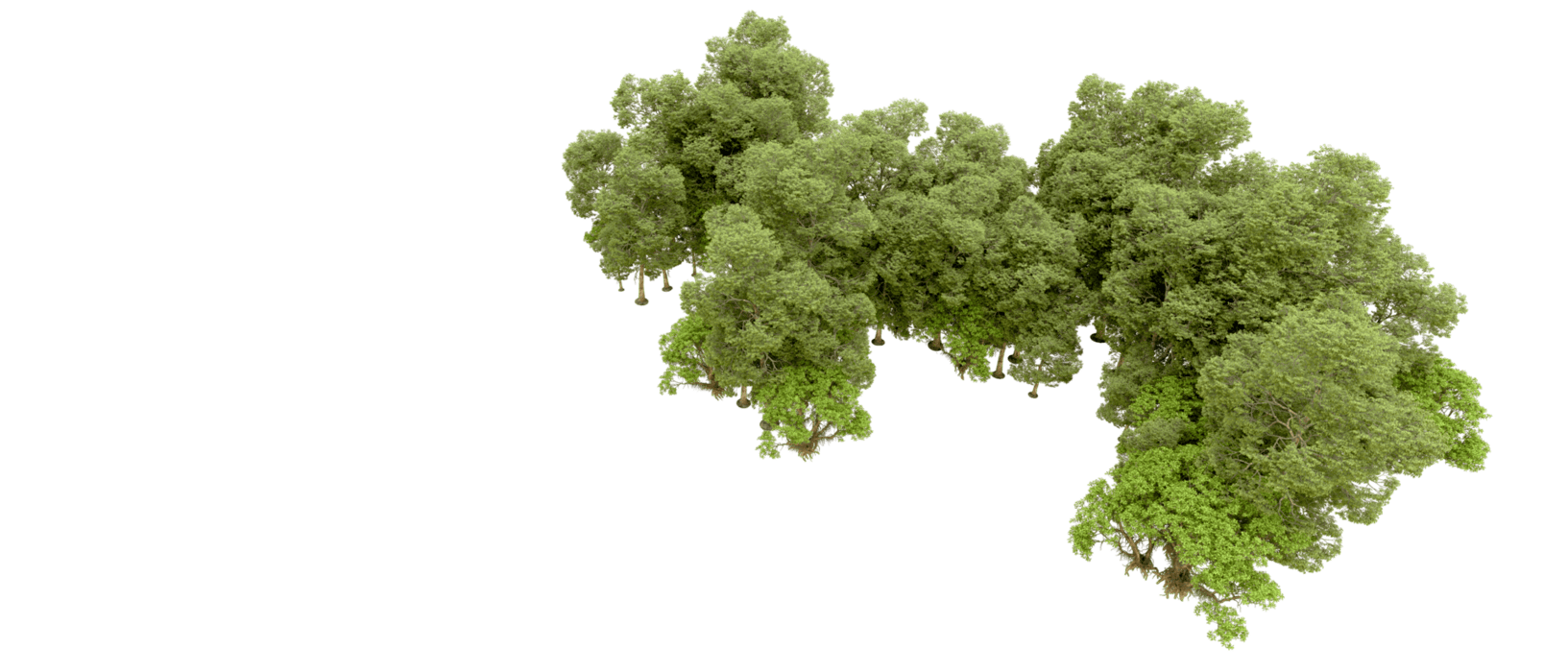 Isometric Tree PNGs for Free Download