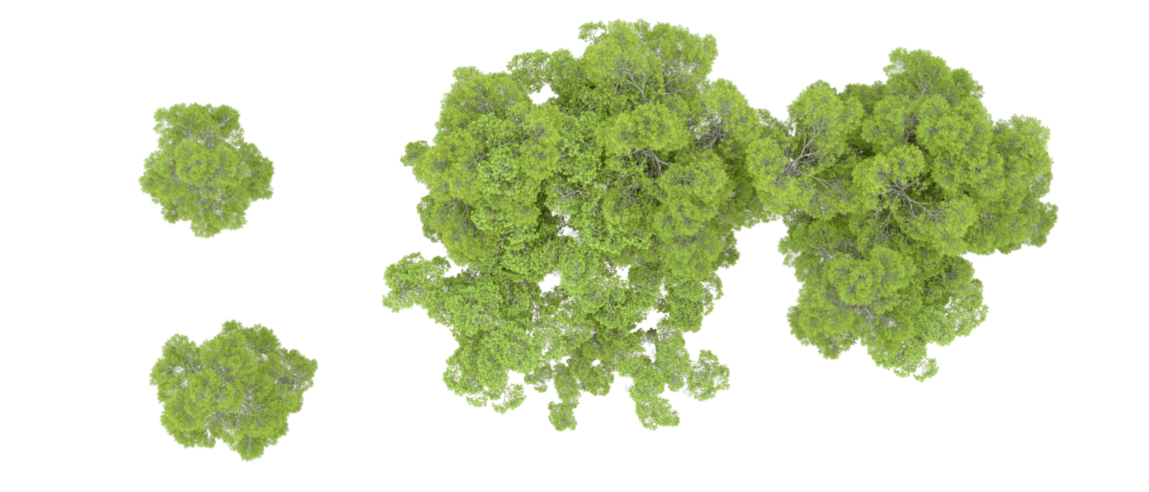 Birds Eye View PNGs for Free Download