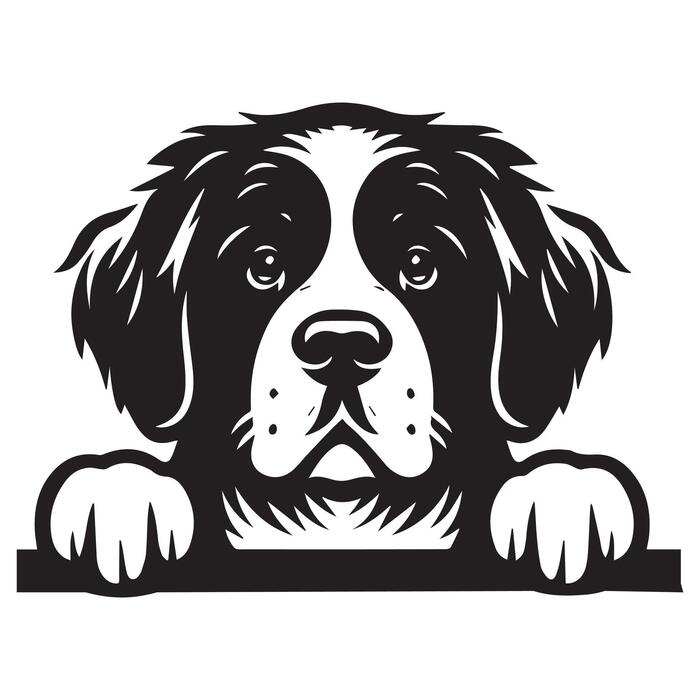 Saint Bernard Dog Vector Art, Icons, and Graphics for Free Download