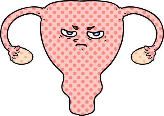 Uterus Pngs For Free Download