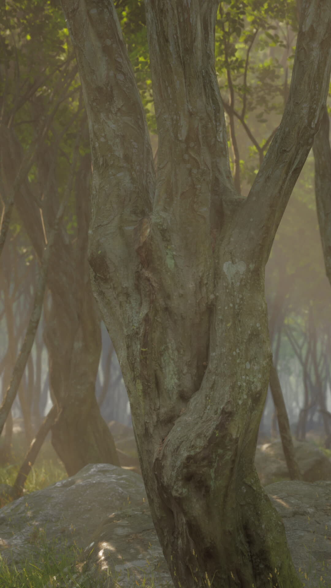 creepy mystic magic deep forest 45360609 Stock Video at Vecteezy creepy mystic magic deep forest 45360609 Stock Video at Vecteezy