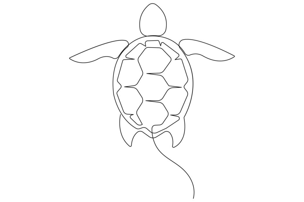 Turtle Line Drawing Vector Art, Icons, and Graphics for Free Download