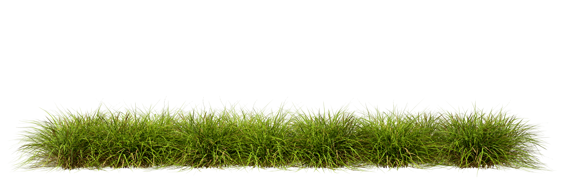 Grass Transparent Background PNGs for Free Download