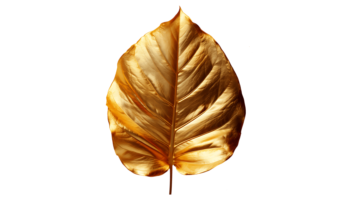 Gold Leaves PNGs for Free Download