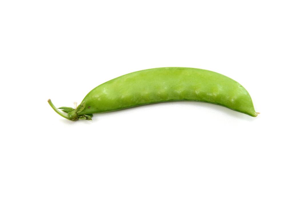 Pea Pod Stock Photos, Images and Backgrounds for Free Download