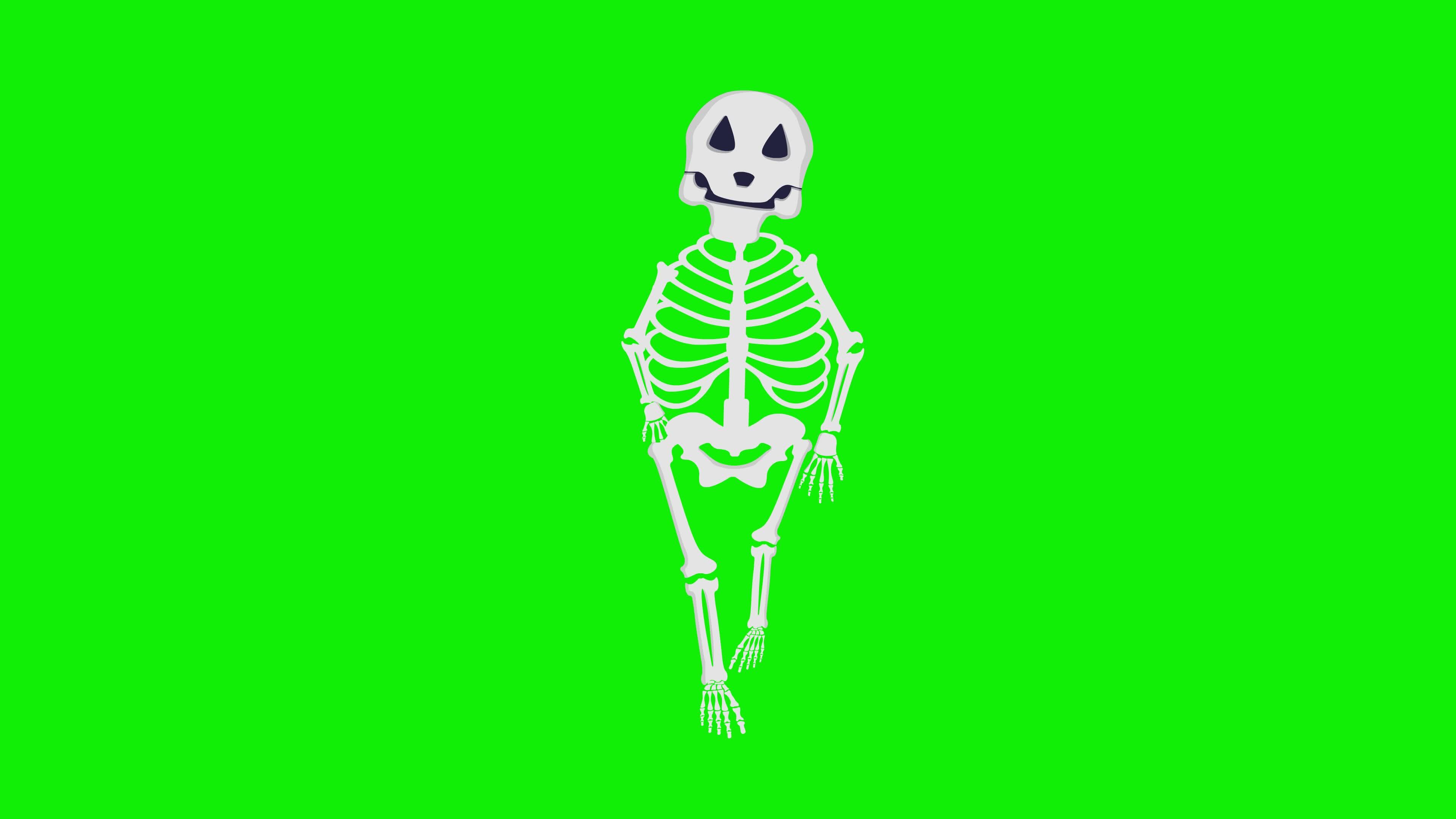 Skeleton Walk Cycle at Alana Mcgovern blog