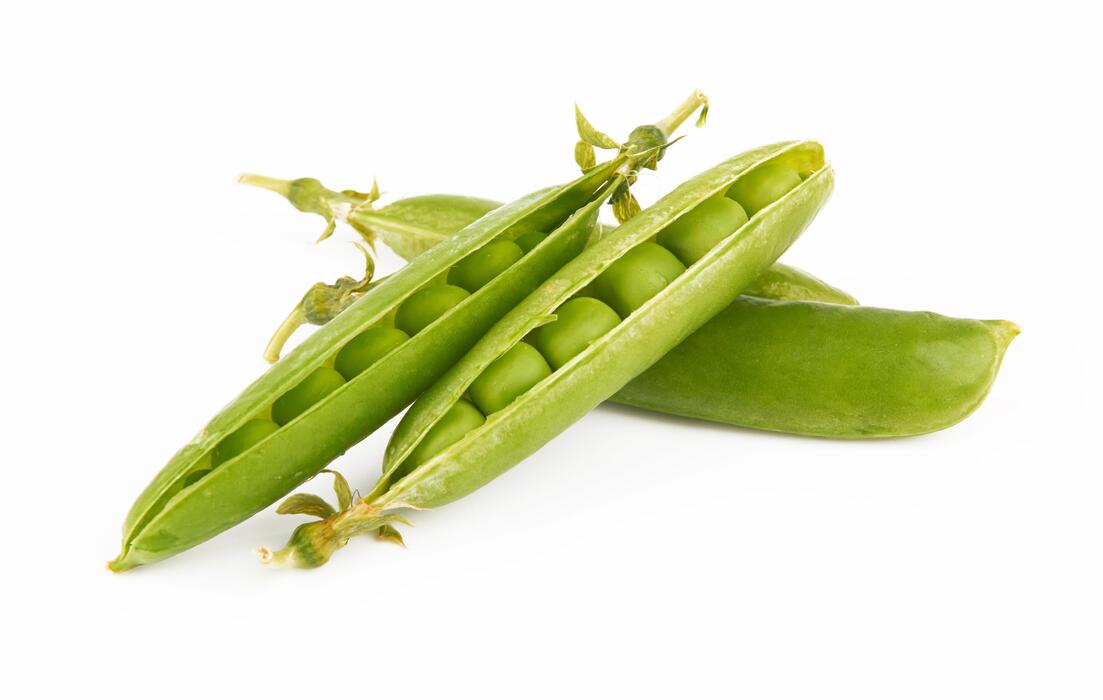 Pea Pod Stock Photos, Images and Backgrounds for Free Download