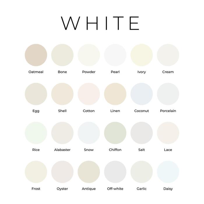 Color Palette White Vector Art, Icons, and Graphics for Free Download