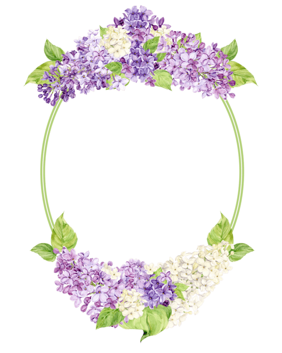 Purple Flower Transparent PNGs for Free Download