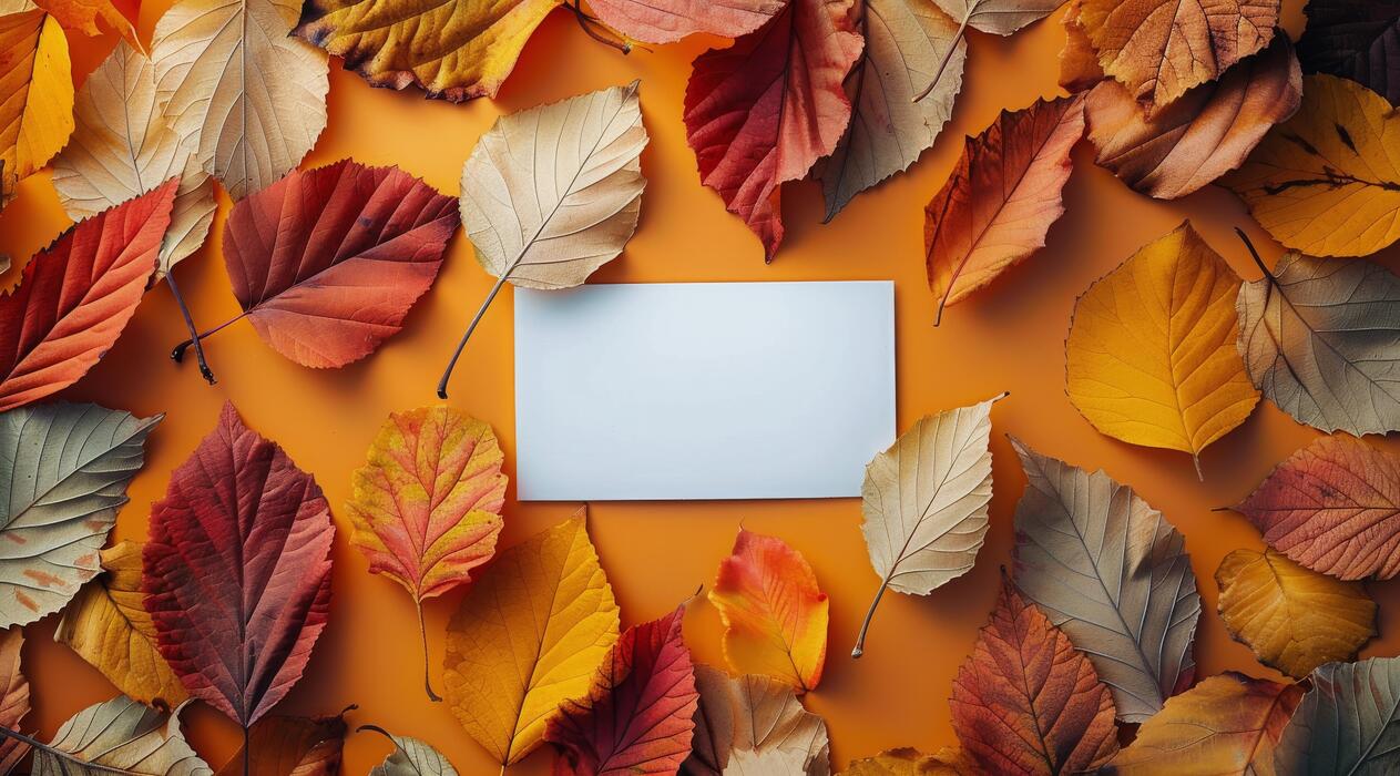 Autumn Mockup Stock Photos, Images and Backgrounds for Free Download