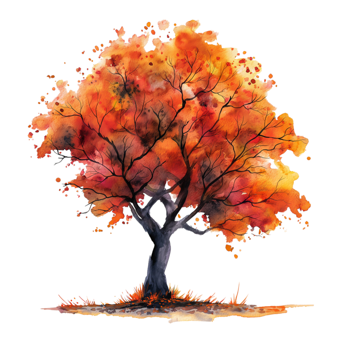 Autumn Tree PNGs for Free Download