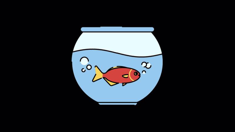 Fishbowl animated motion graphic with alpha channel. 46028836 Stock Video at Vecteezy