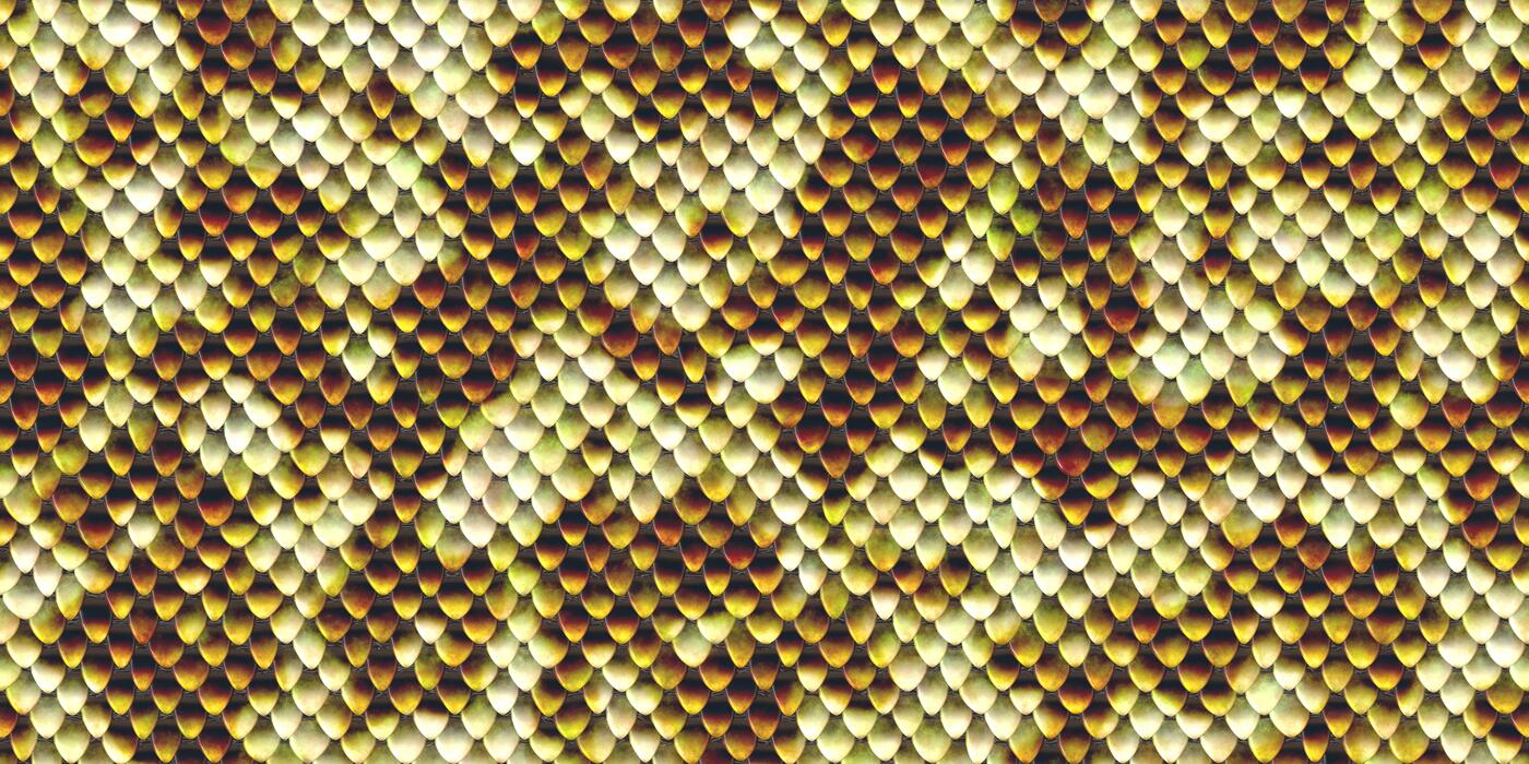 Snake Scale Pattern Stock Photos, Images and Backgrounds for Free Download