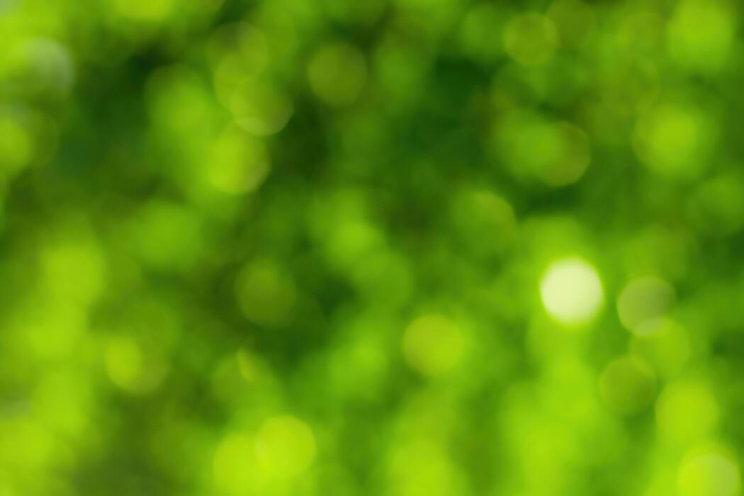 Green Background Design Stock Photos, Images and Backgrounds for Free ...