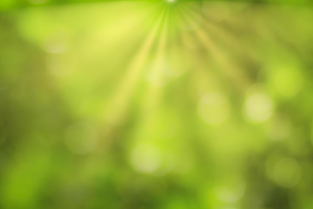 Green Nature Background Stock Photos, Images and Backgrounds for Free ...