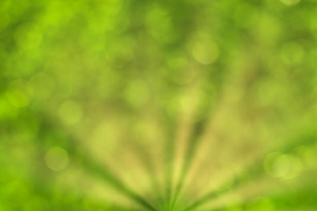 Green Tropical Background Stock Photos, Images and Backgrounds for Free ...