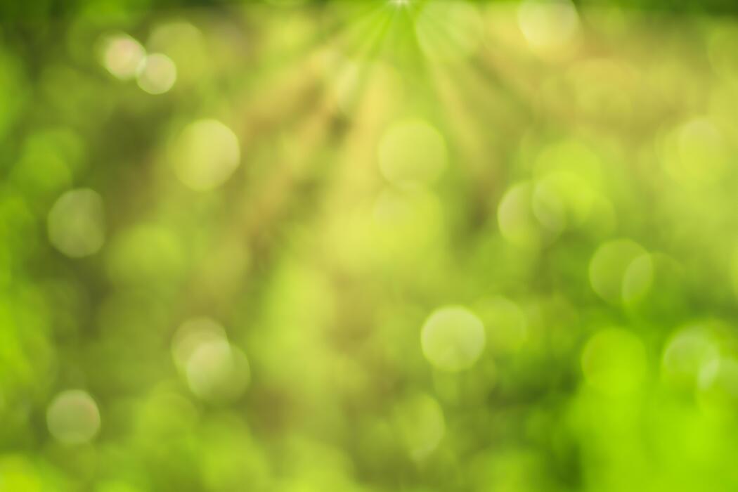 Green Nature Background Stock Photos, Images and Backgrounds for Free ...