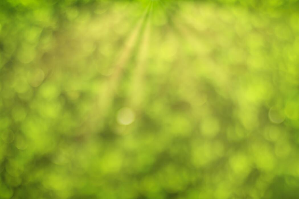 Green Background Design Stock Photos, Images and Backgrounds for Free ...