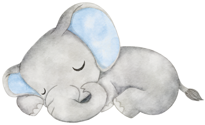 Baby Boy Elephant PNGs for Free Download Baby Boy Elephant PNGs for Free Download