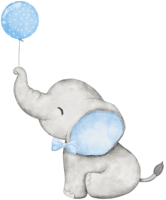 Baby Boy Elephant PNGs for Free Download