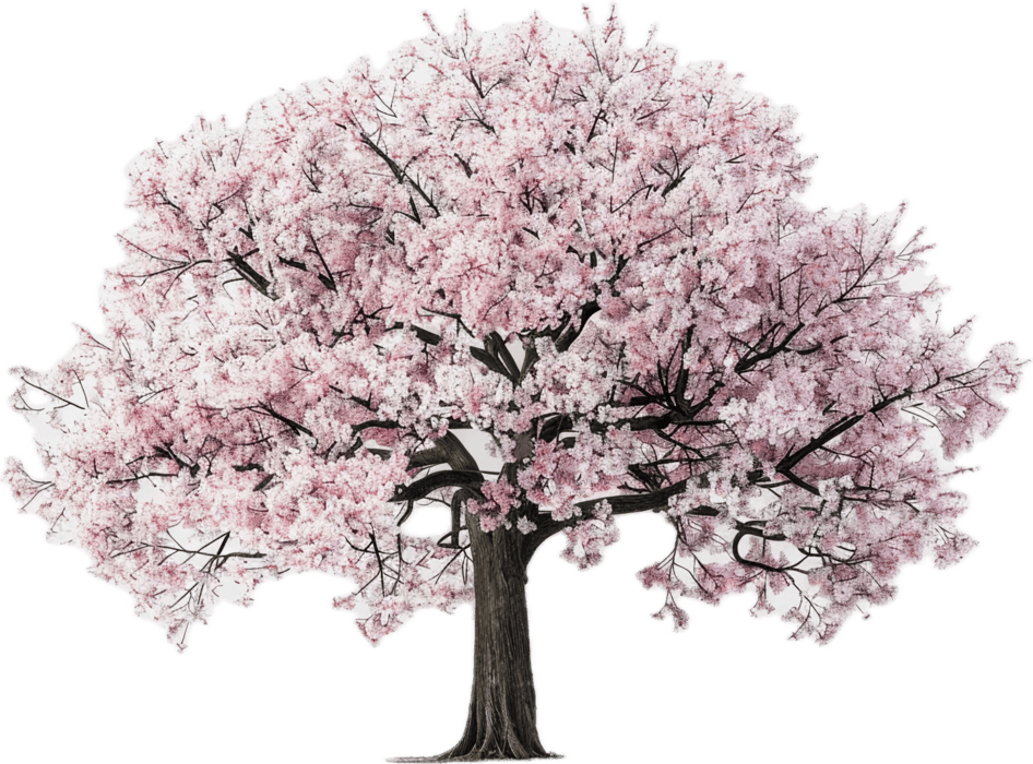 Spring Trees PNGs for Free Download