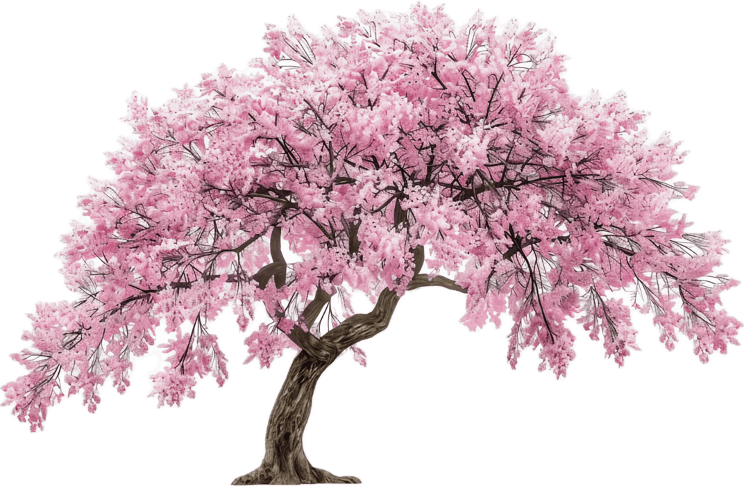 Sakura Tree PNGs for Free Download