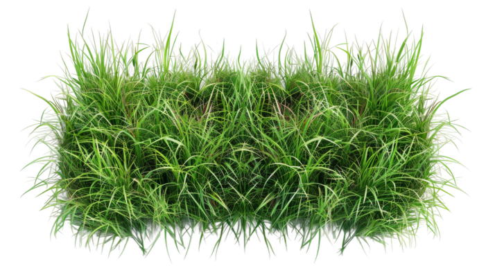 Grass Texture Pngs For Free Download