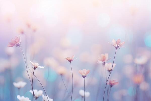 Subtle Floral Background Stock Photos, Images and Backgrounds for Free ...