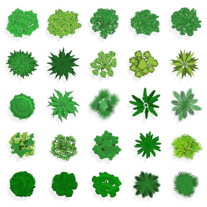 Birds Eye View Plants Vector Art, Icons, and Graphics for Free Download