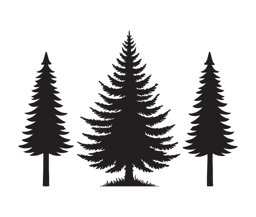 3 Pine Trees Vector Art, Icons, and Graphics for Free Download