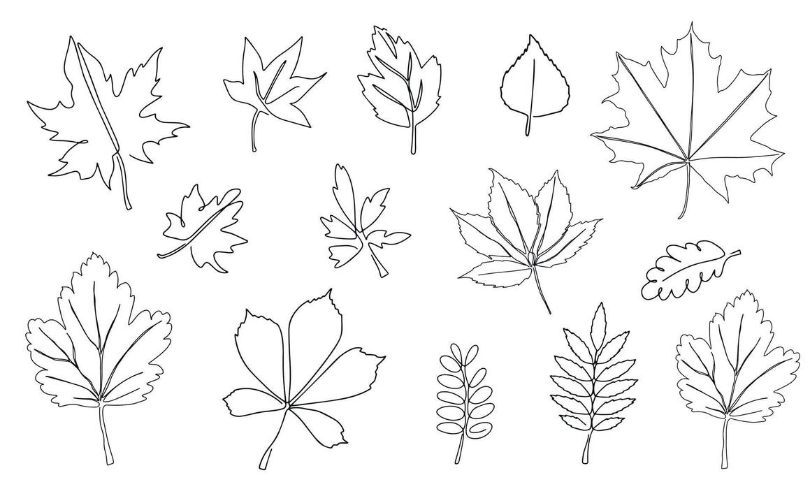 Autumn Leaves Line Vector Art, Icons, and Graphics for Free Download