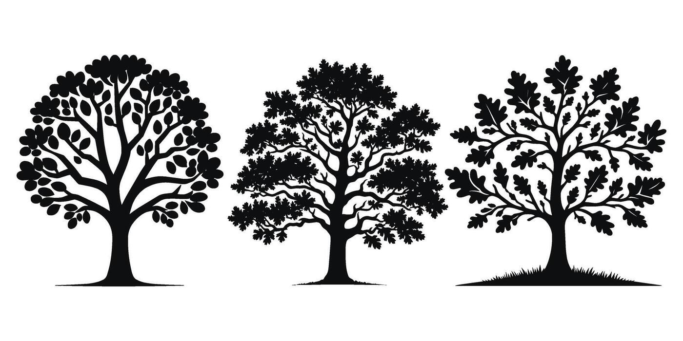 Oak Tree Line Vector Art, Icons, and Graphics for Free Download
