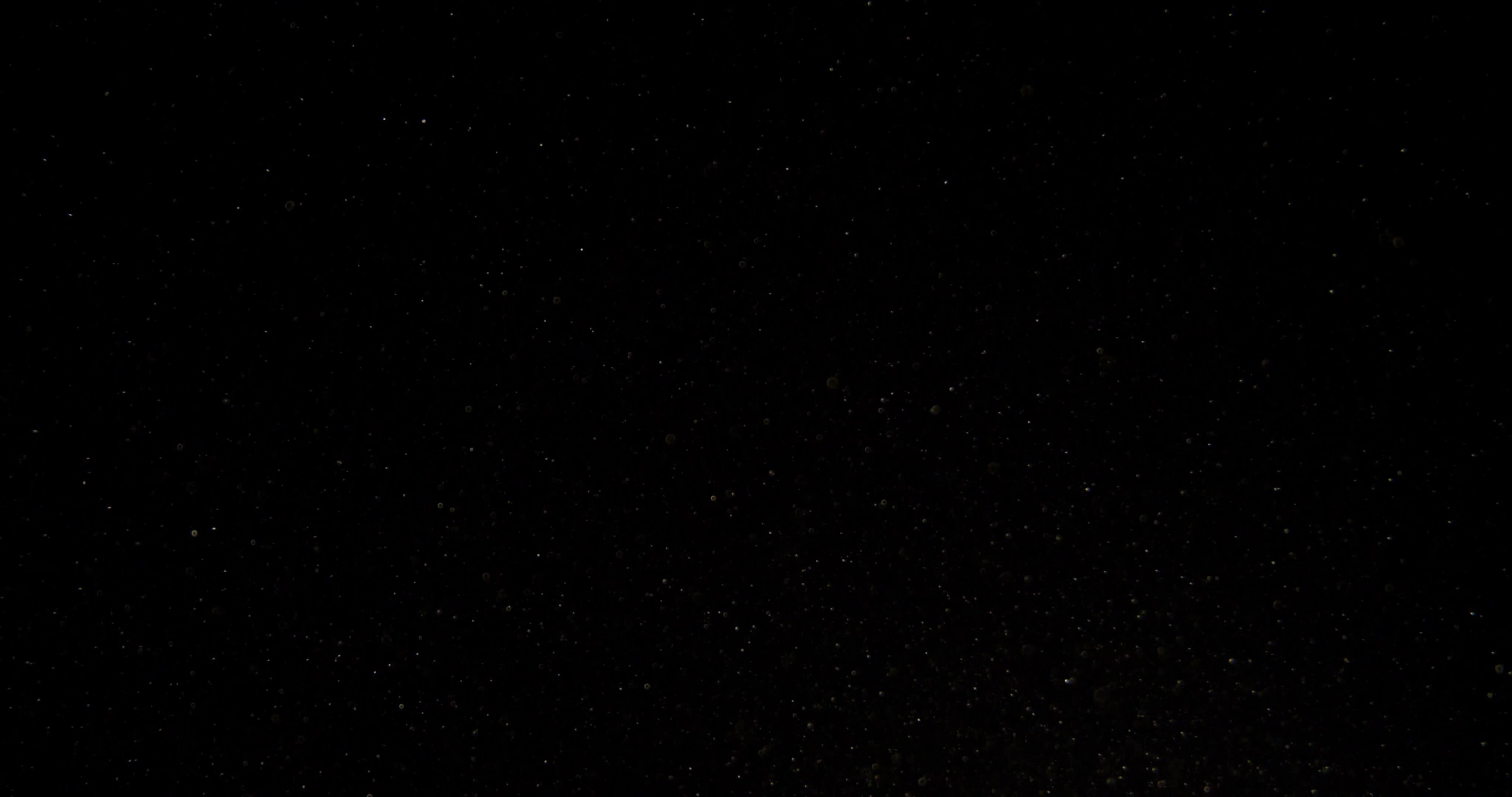 Cinematic dust particles floating on black background in slow motion. Atmosphere overlay. Filmed ...