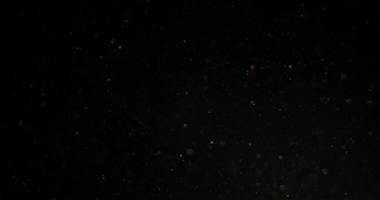 Dust Particles Overlay Stock Video Footage for Free Download