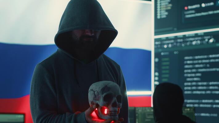 Hacker Skull Stock Video Footage for Free Download
