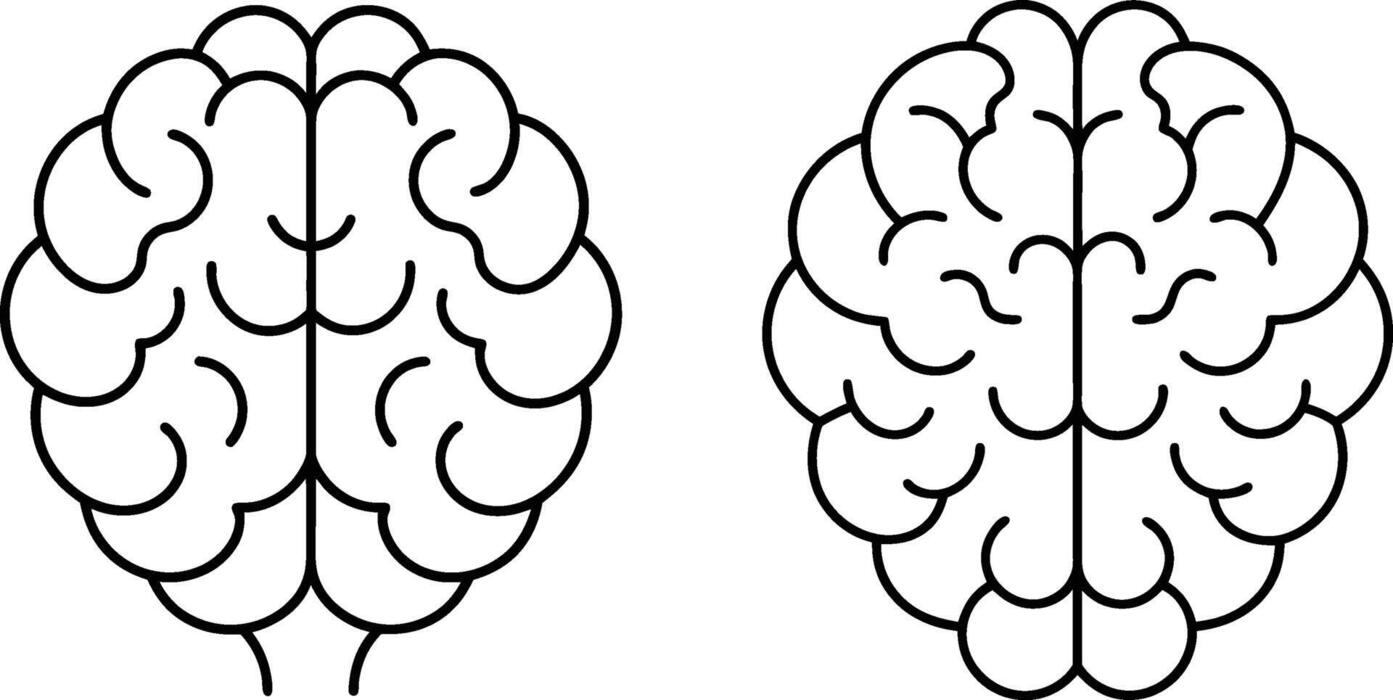 Brain Outline Vector Art Icons And Graphics For Free Download