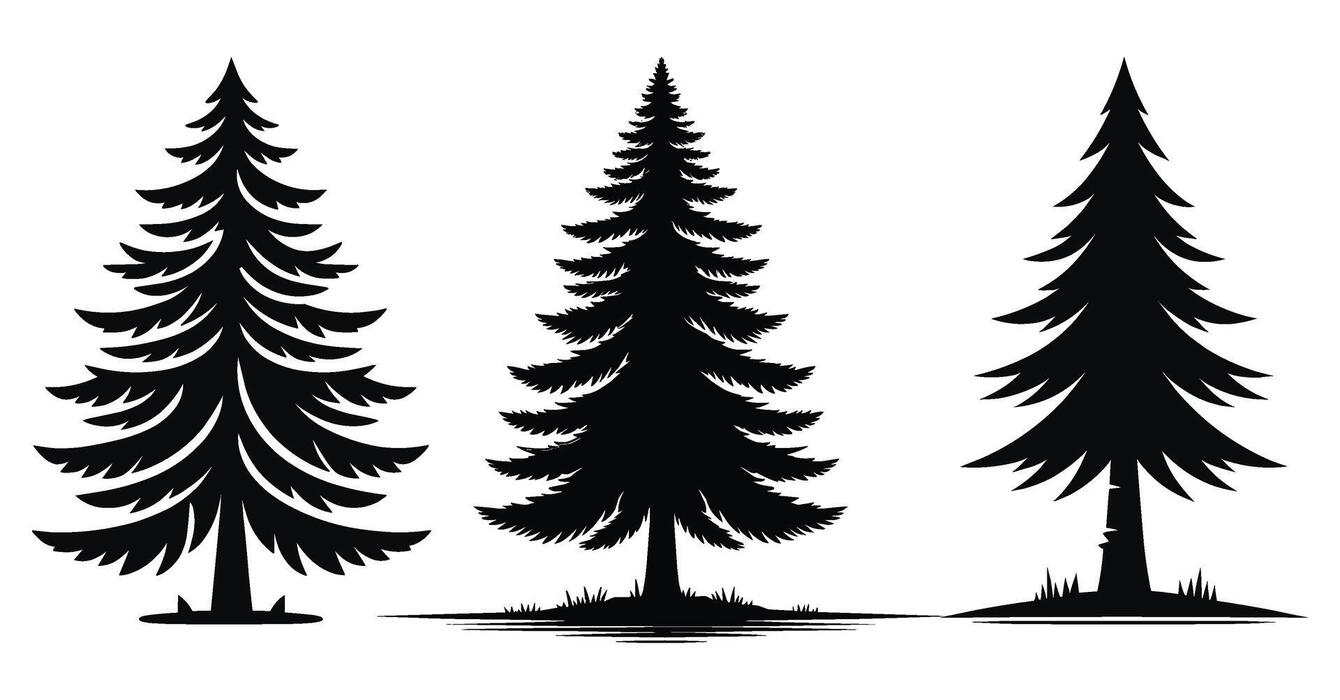 3 Pine Trees Vector Art, Icons, and Graphics for Free Download