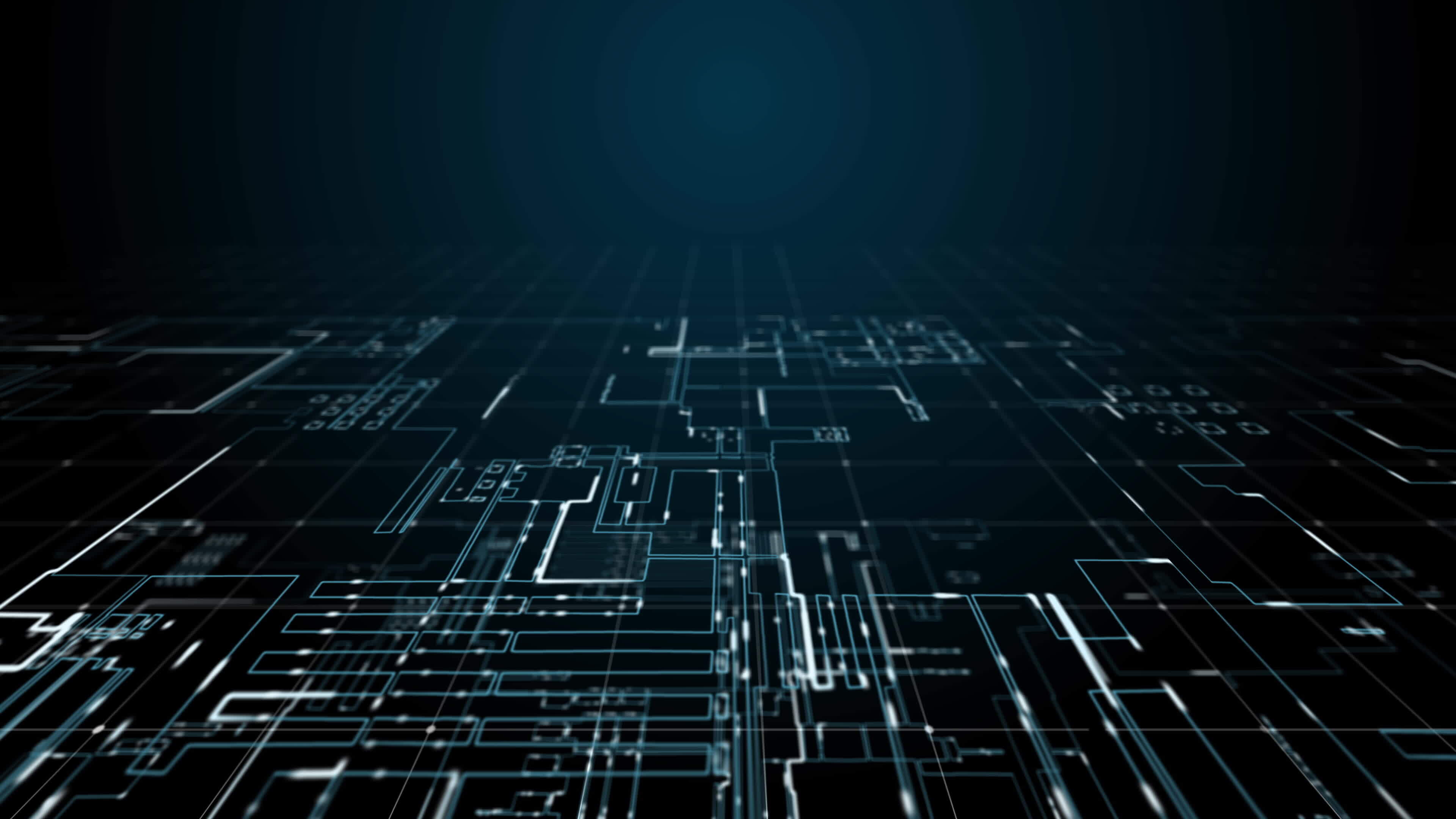 Abstract Circuit Line Digital Seamless Loop Motion Background 46821668