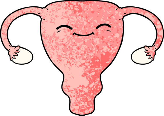 Uterus Pngs For Free Download