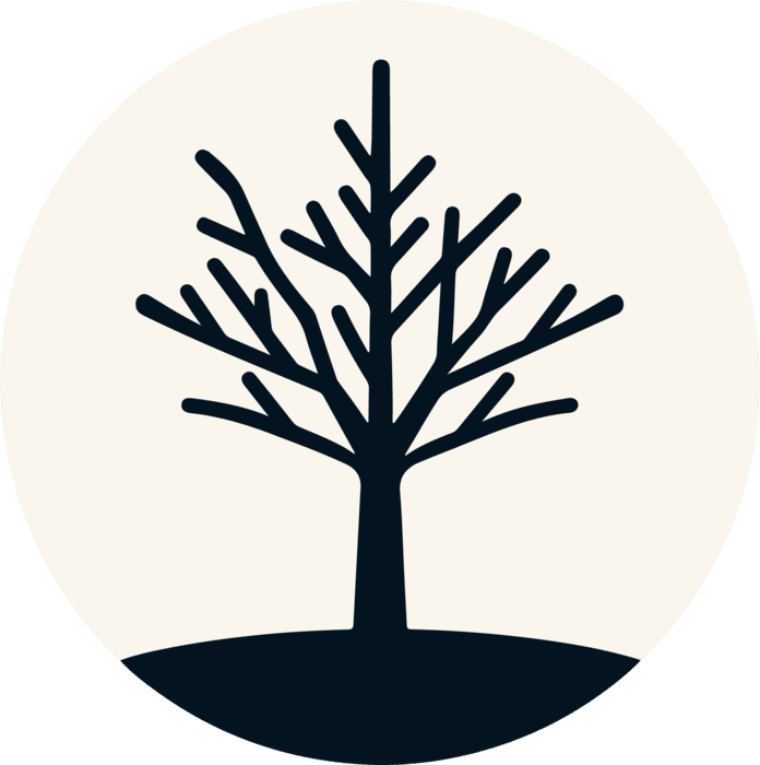 Minimalist Tree PNGs for Free Download