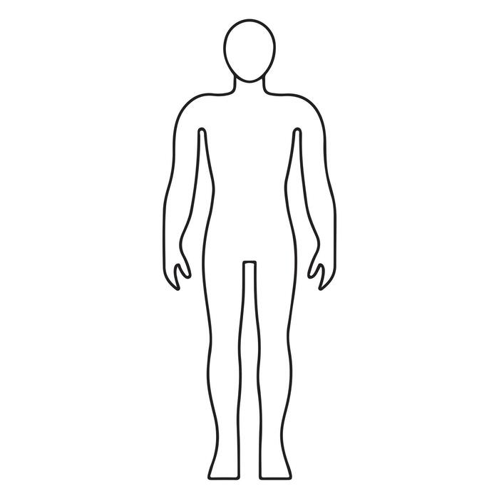 Human Outline Vector Art, Icons, and Graphics for Free Download