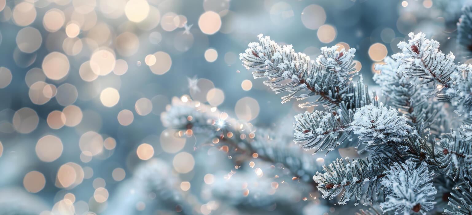 Winter Sparkle Stock Photos, Images and Backgrounds for Free Download