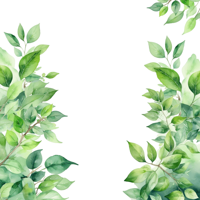 Green Watercolor Leaves Border PNGs for Free Download
