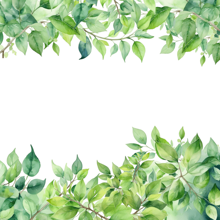 Green Watercolor Leaves Border PNGs for Free Download